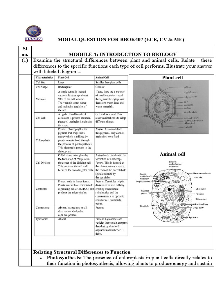 BBOK407 Question Solutions | PDF | Rna | Lipid