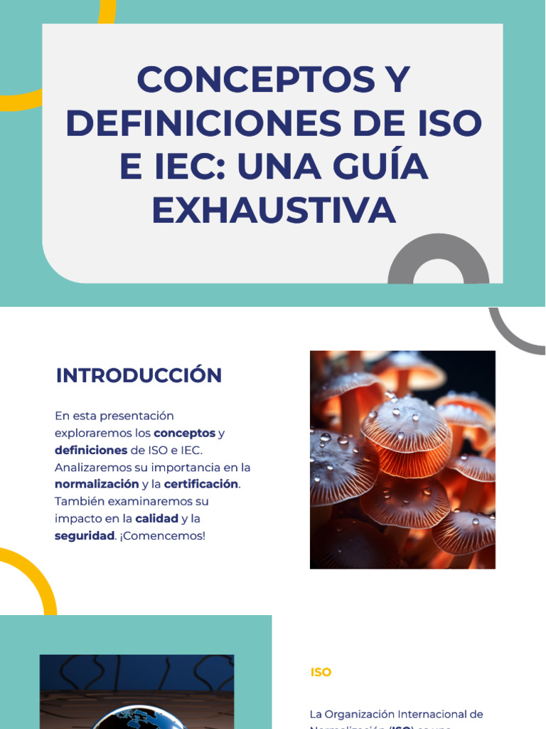 Guía sobre Normas ISO e IEC | PDF