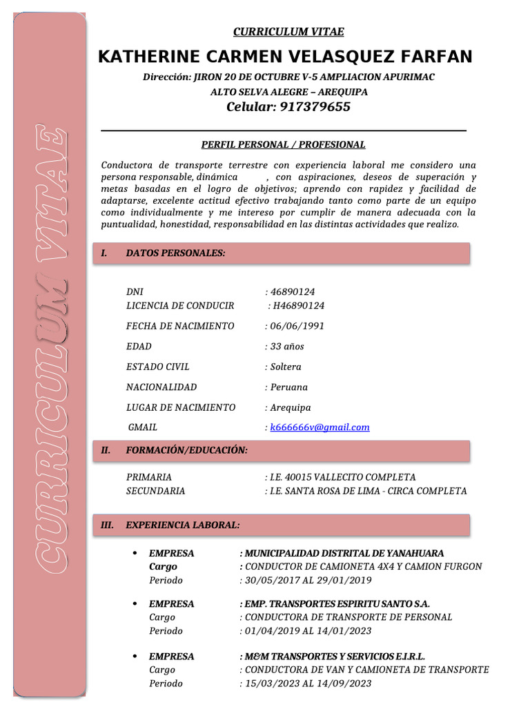 Modelo de CV 4 M | PDF