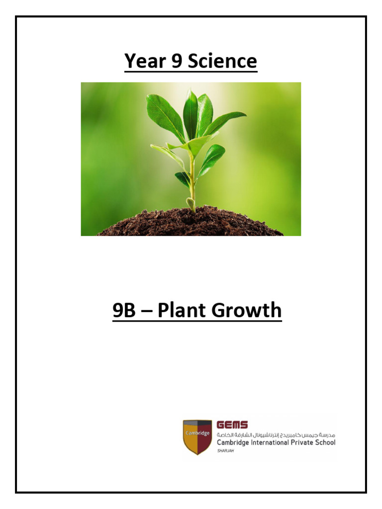 9B - Resource Booklet | PDF | Photosynthesis | Leaf