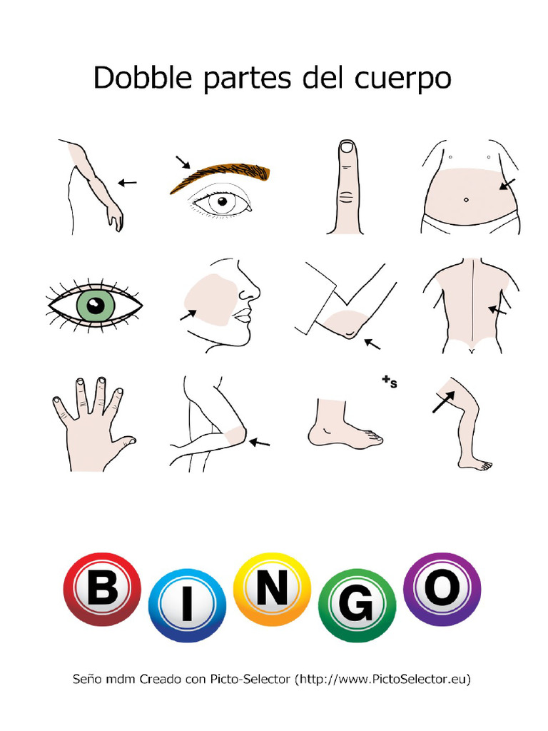 BINGO Partes Del Cuerpo | PDF