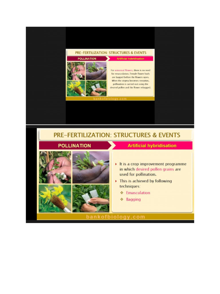 Botany Chapter Flowering | PDF