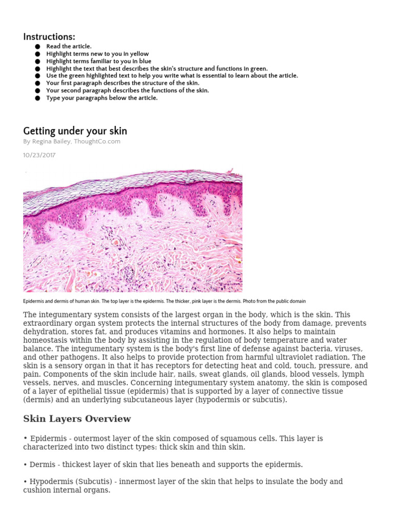 Getting Under Your Skin | PDF | Skin | Epidermis