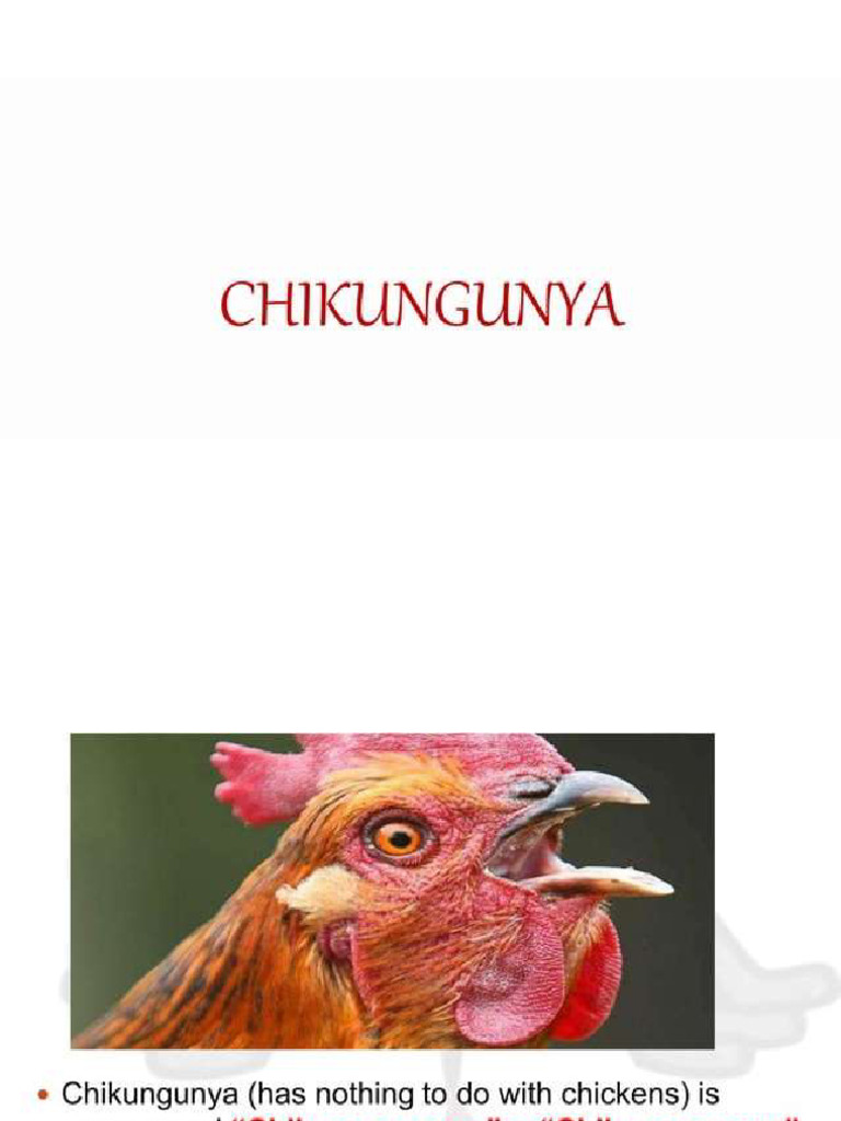 Chikungunya | PDF