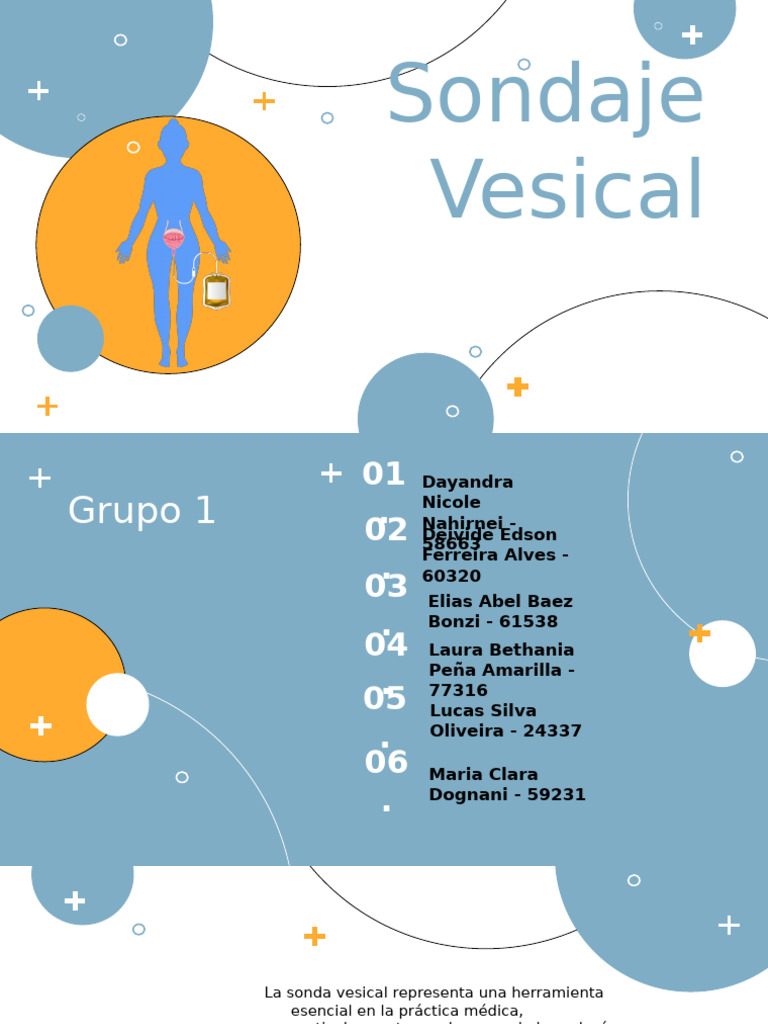 Guía Completa sobre Sondaje Vesical | PDF | Sistema urinario | Medicina ...