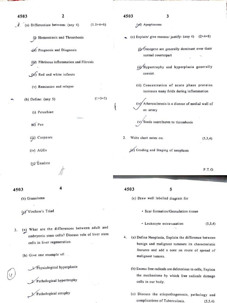 Patho PYQ | PDF | Neoplasms | Shock (Circulatory)