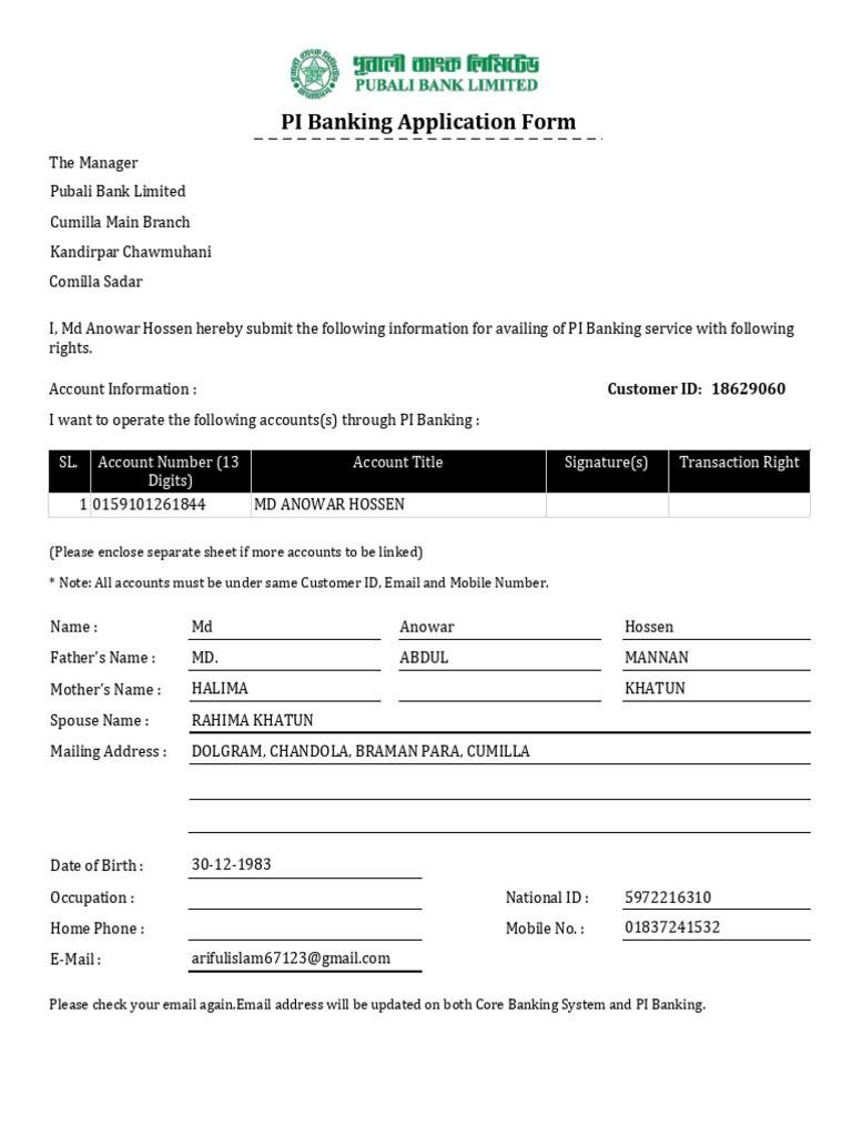 PI Application Form - 20241016 | PDF