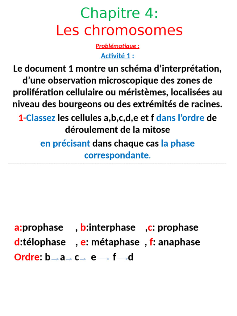 Chromosomes et Caryotypes: Guide Complet | PDF | Chromosome | Mitose