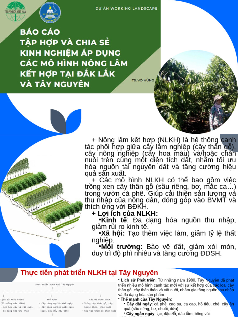 2024.10.29, TH Cac Mo Hinh NLKH Xen CA Phe o TN | PDF