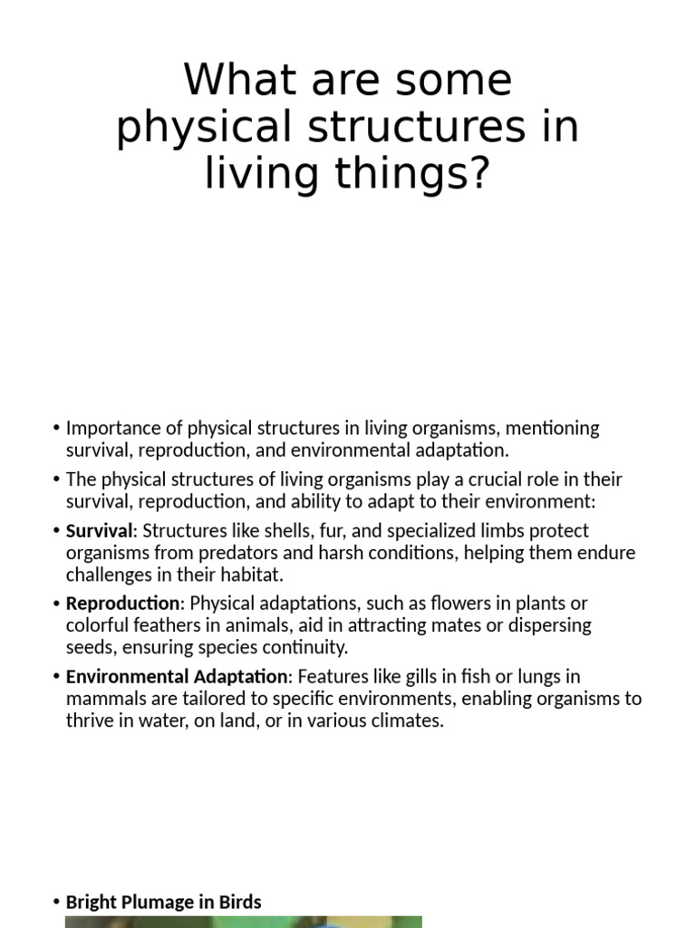 Physical Structures in Living Organisms | PDF