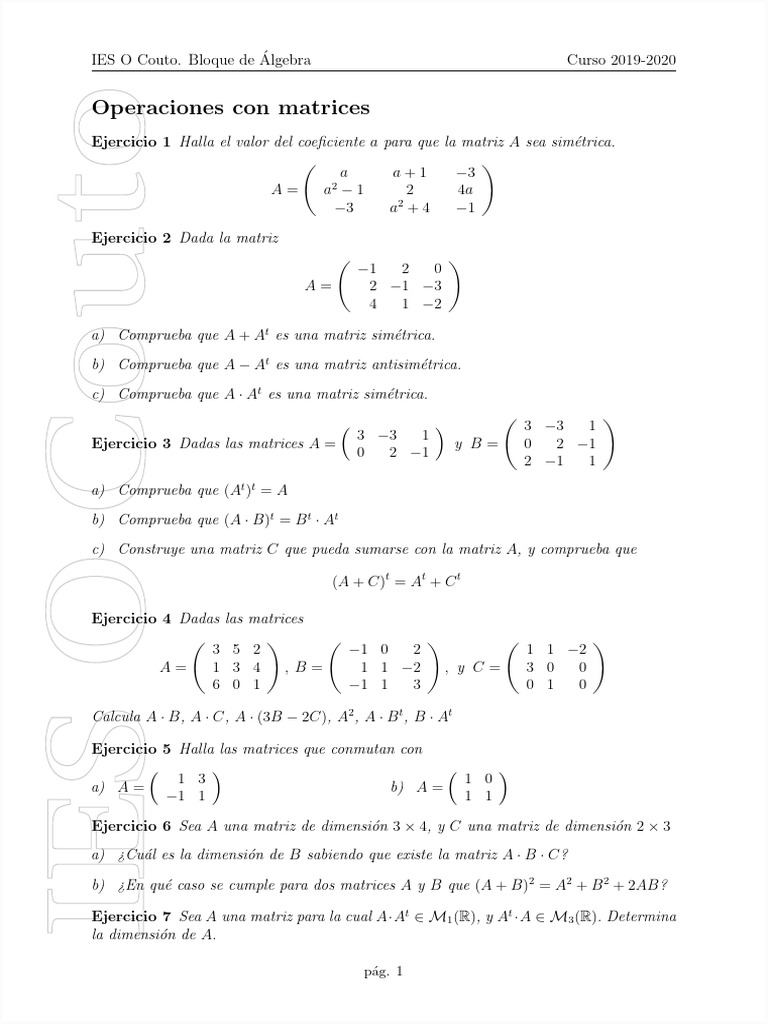 Matrices Ejer | PDF | Matriz (Matemáticas) | Determinante