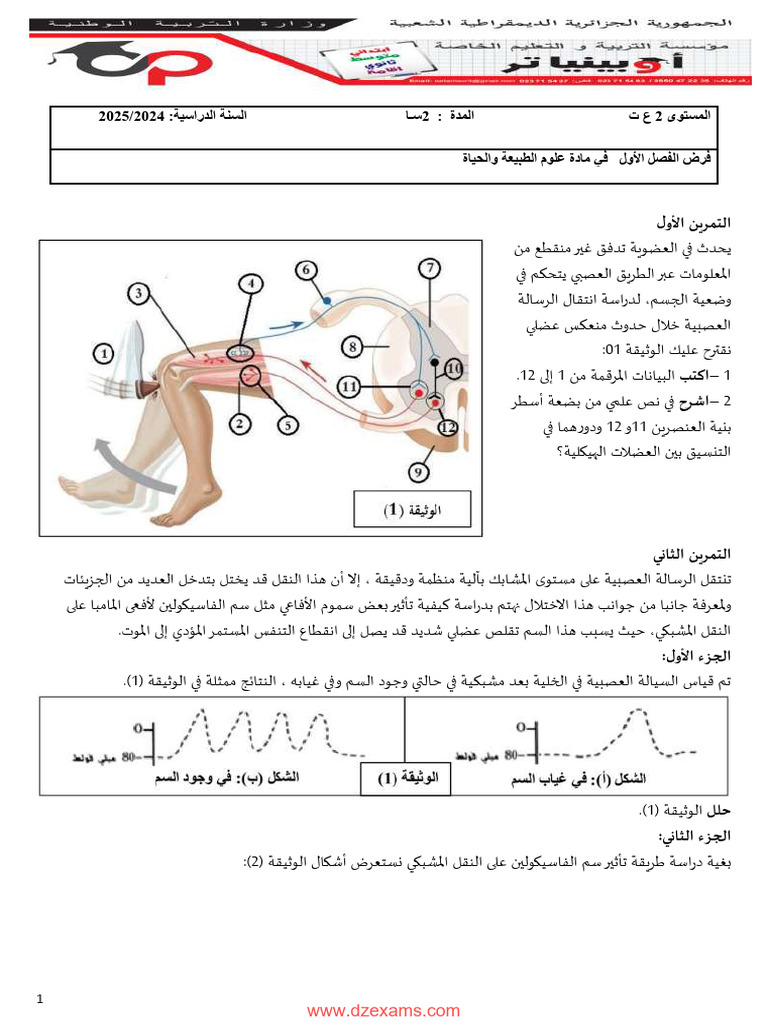 Dzexams 2as Sciences Naturelles 337193 | PDF