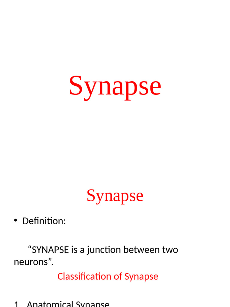 Synapse | PDF | Chemical Synapse | Synapse