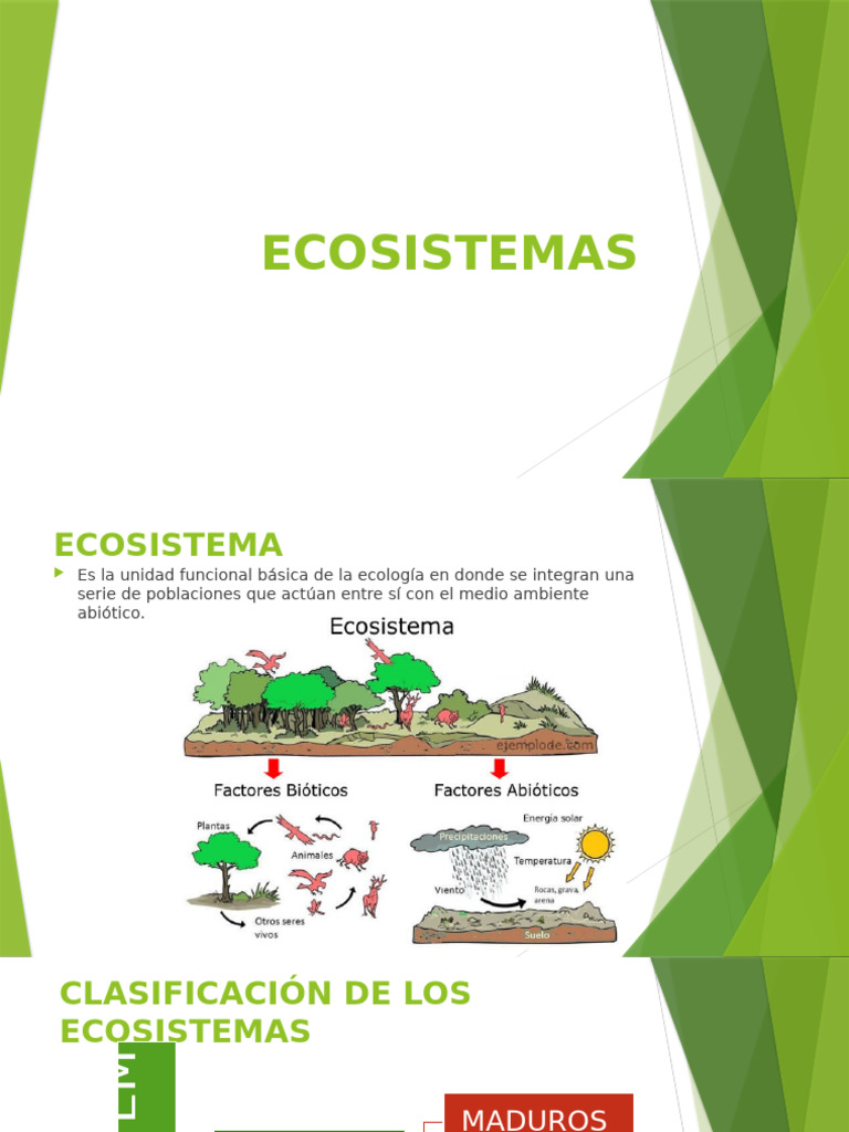 Eco Sistem As | PDF | Ecosistema | Clima