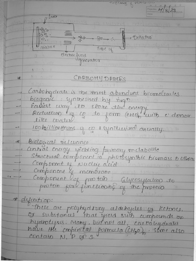 Genetics Notes | PDF