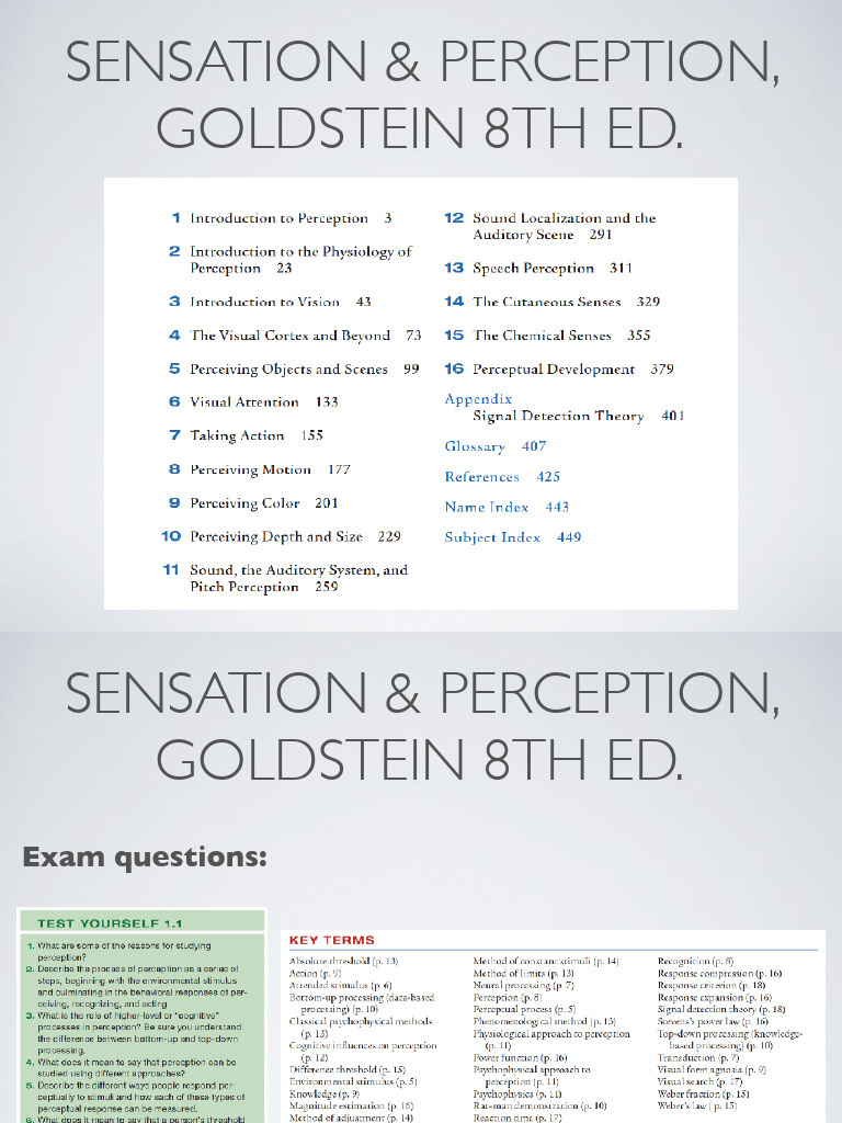 P303 Intro Extra Study Material | PDF