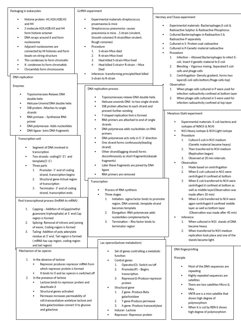 Molecular Biology Pdf Primer Molecular Biology Dna Replication
