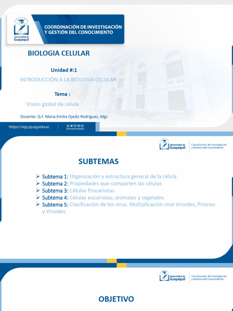 Unidad 1 Semana 4 | PDF | Biología Celular) | Reproducción