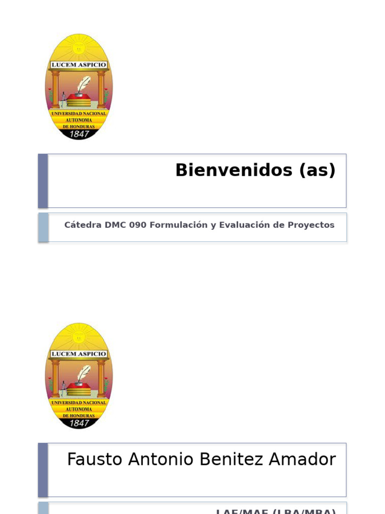 Formulación de Proyectos III PAC 2024 | PDF | Presupuesto | Oferta ...