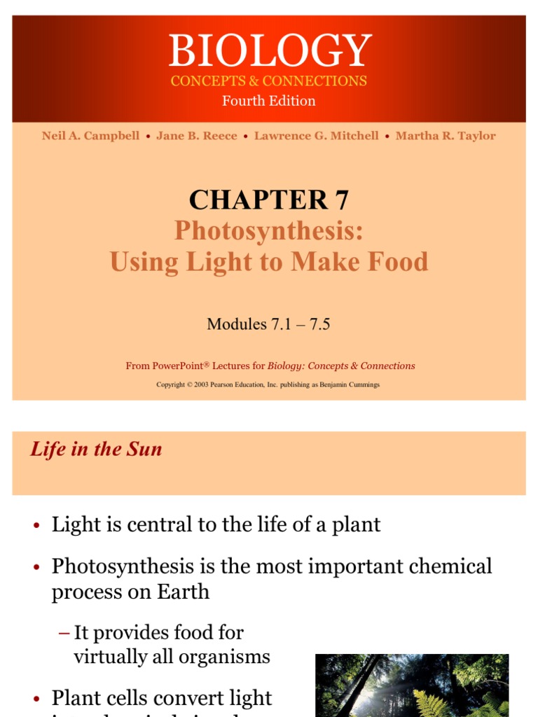 CH 7 Photosynthesis Using Light To Make Food | PDF | Photosynthesis ...
