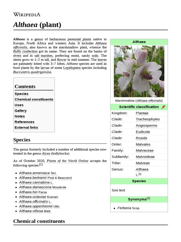 Althaea (Plant) | PDF | Botany | Plants