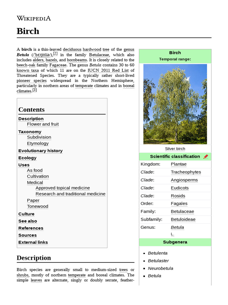 Birch | PDF | Trees