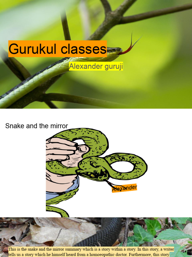 Snake and The Mirror Story | PDF | Self-Improvement | Wellness