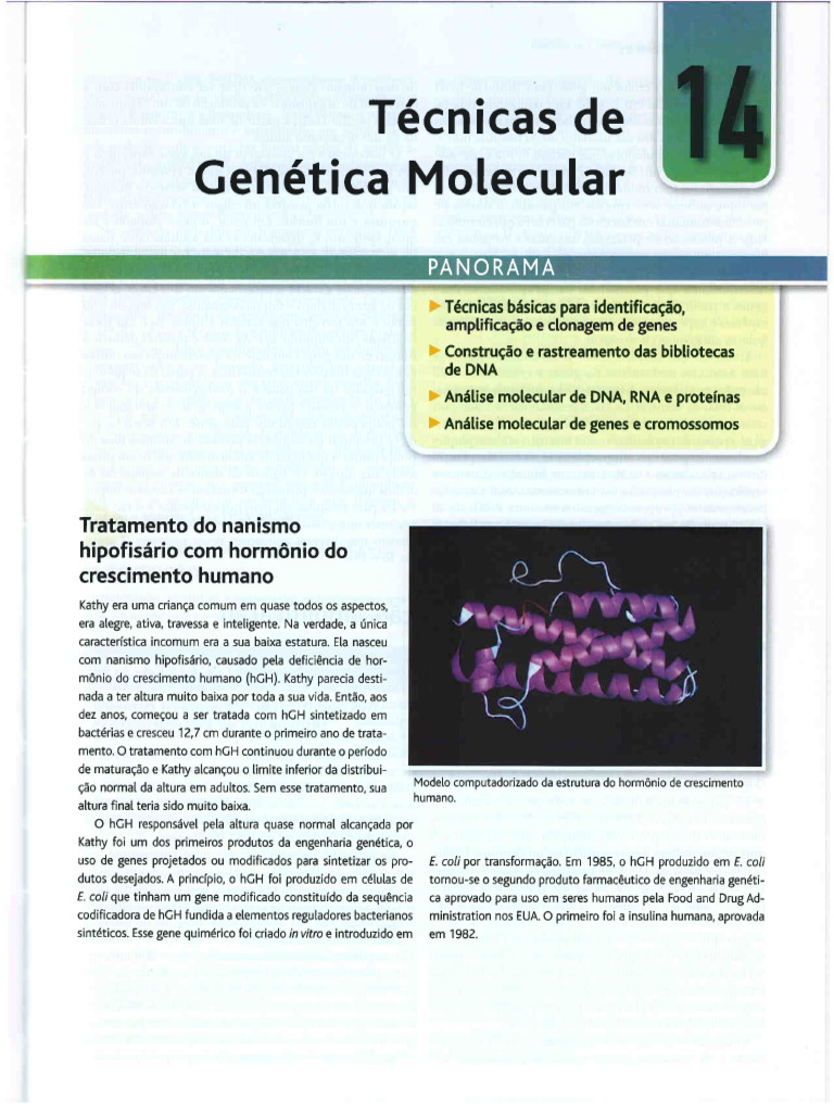 Cap. 14 - Scanner Snustad | PDF