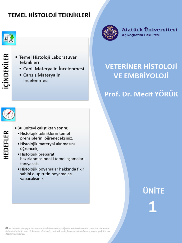 Veteriner Histoloji Ve Embriyoloji Prof. Dr. Mecit YÖRÜK | PDF