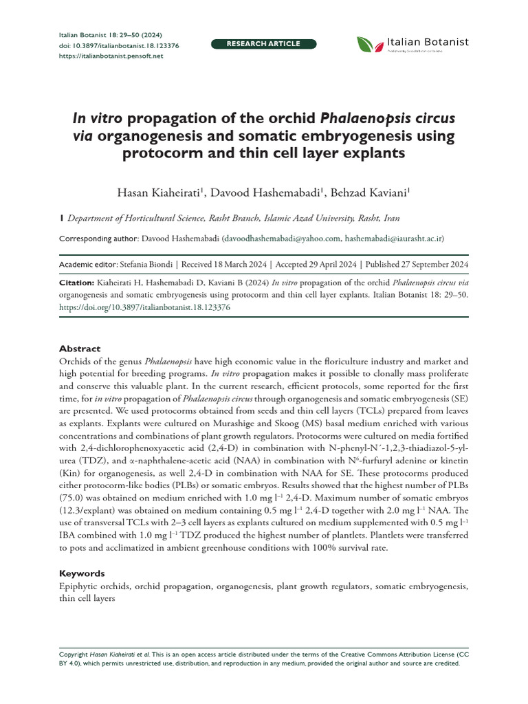 Orchid Phalaenopsis Circus | PDF | Embryo | Reproduction