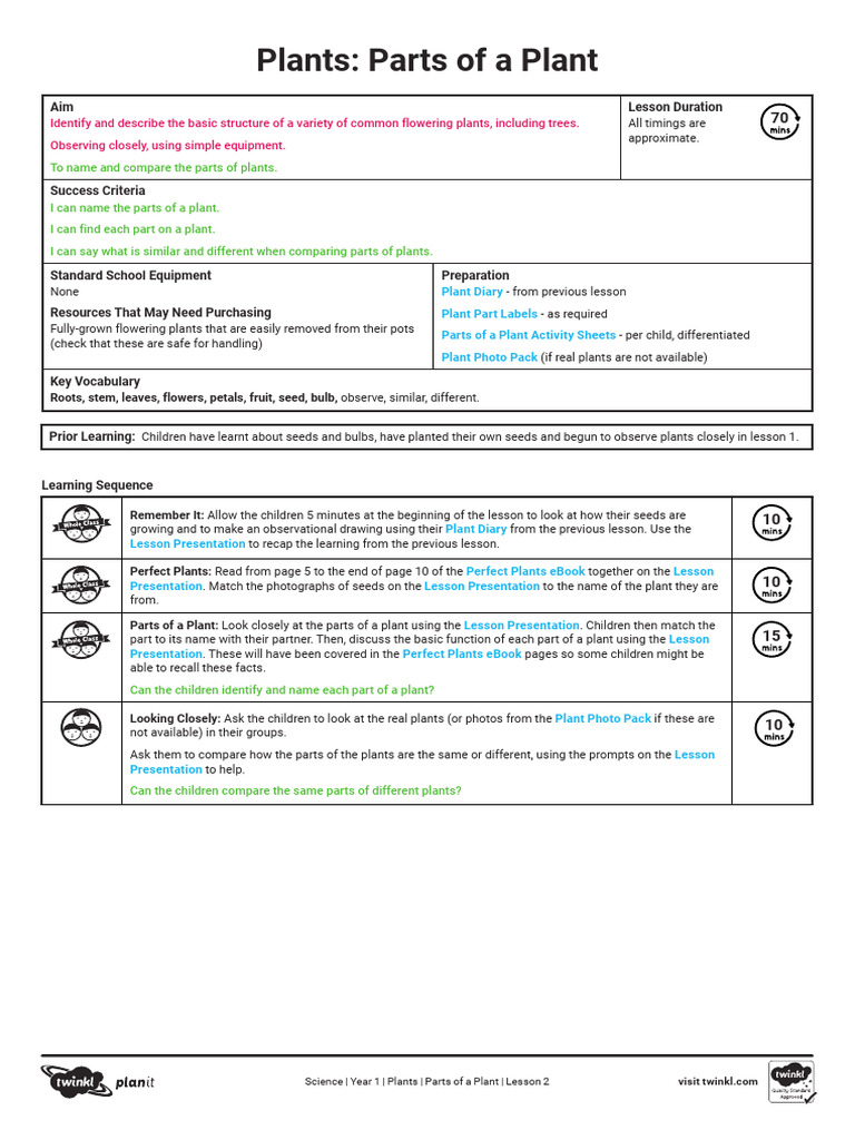 Lesson Plan Parts of A Plant | PDF | Plants | Flowers