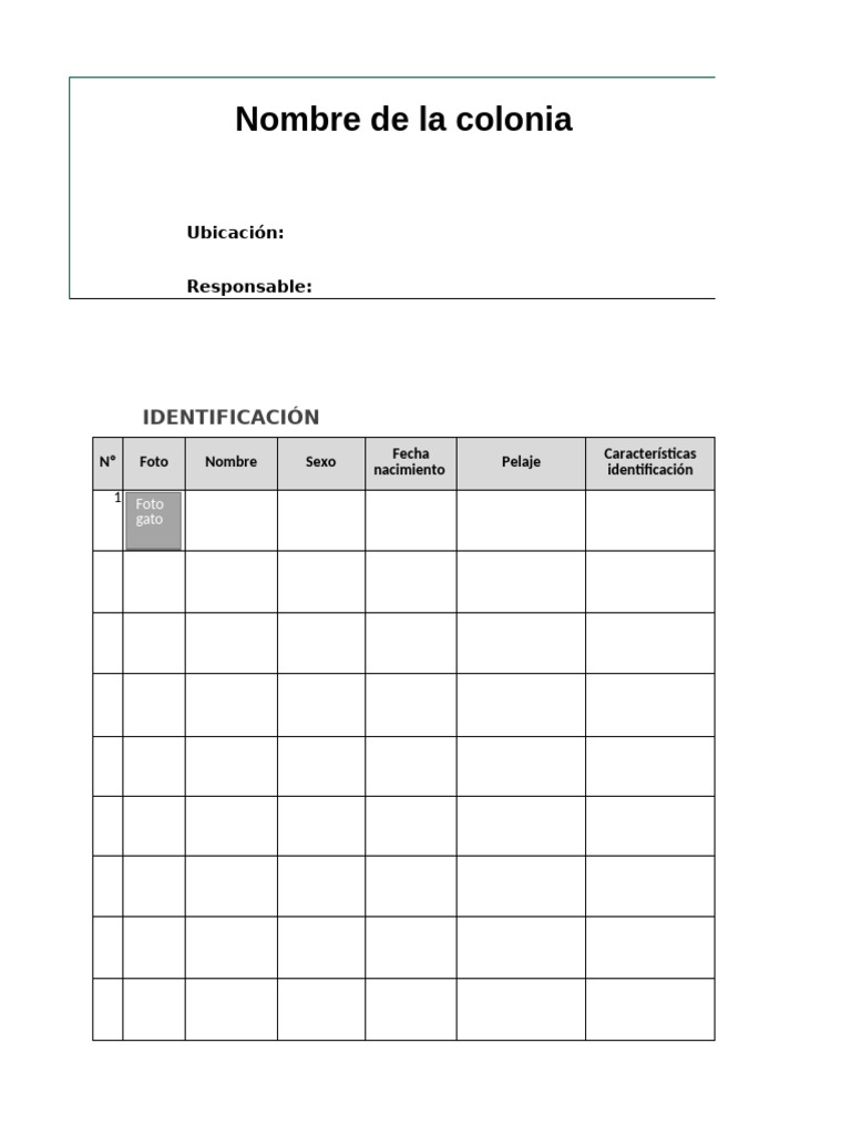 ModeloFichas CED | PDF