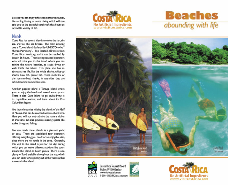 Beaches 4 | PDF