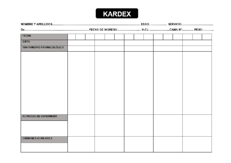 Hoja de KARDEX-1 | PDF