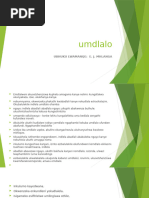 Umlando Kamufi | PDF