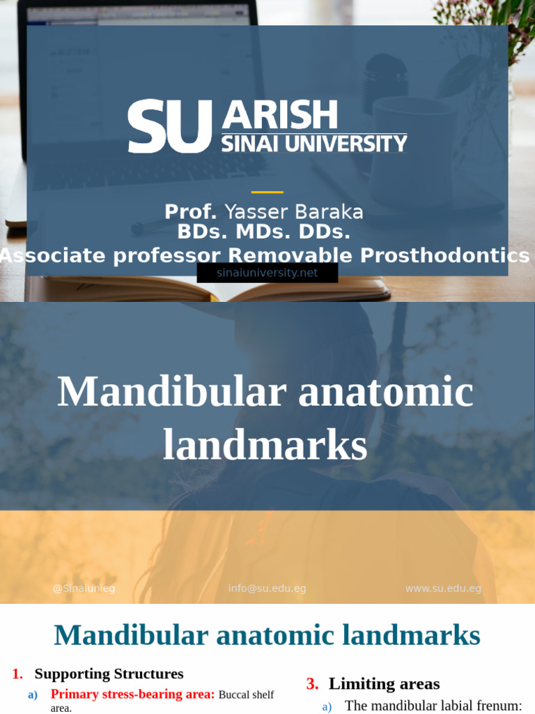 Mandibular Anat | PDF | Tongue | Dentures