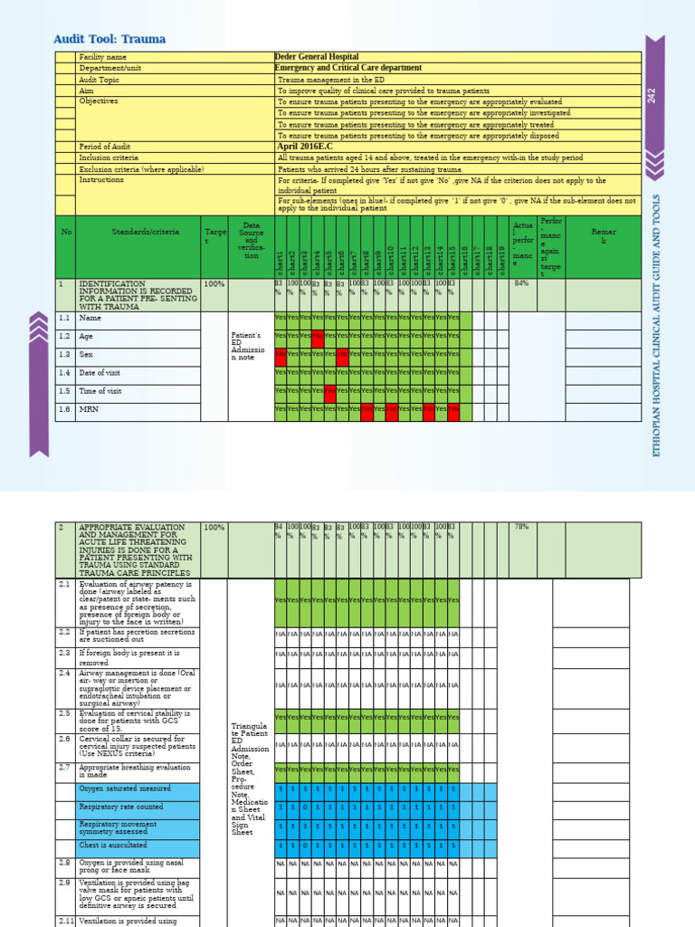 Audit Tool Trauma April 2016 | PDF | Intravenous Therapy | Breathing