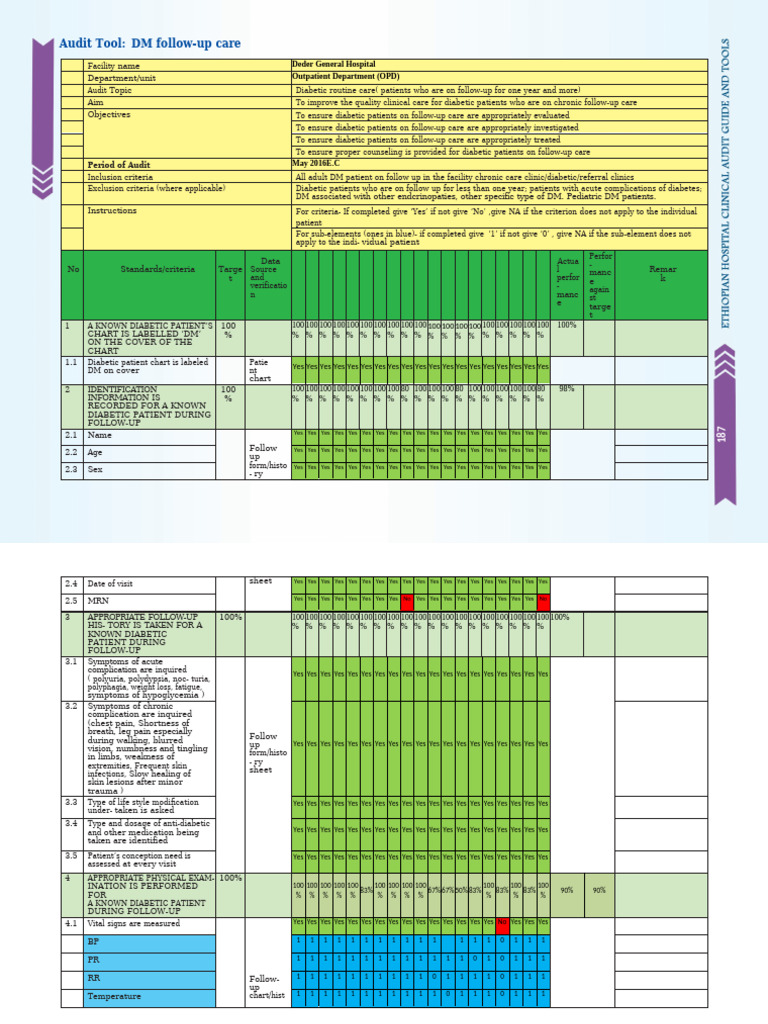 Diabetic Care Audit Tool Overview | PDF | Diabetes | Chronic Condition