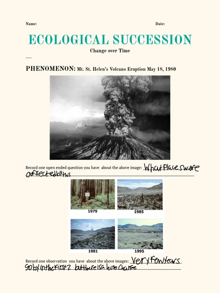 Copy of Ecological Succession Lesson | PDF | Volcano | Ecology