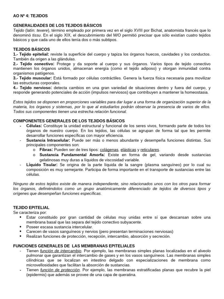 Cuatro Tejidos Básicos del Cuerpo Humano | PDF | Epitelio | Tejido ...