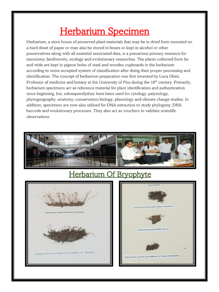 Herbarium Specimen | PDF
