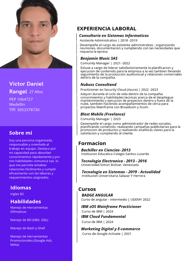 CV Nuevo Victor Daniel 2024 | PDF | Informática | Business