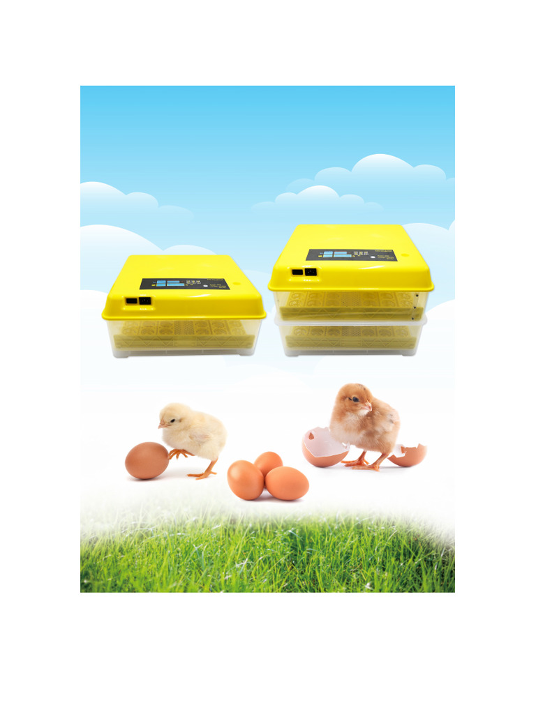 Egg Incubator Assembly and Operation Guide | PDF | Humidity