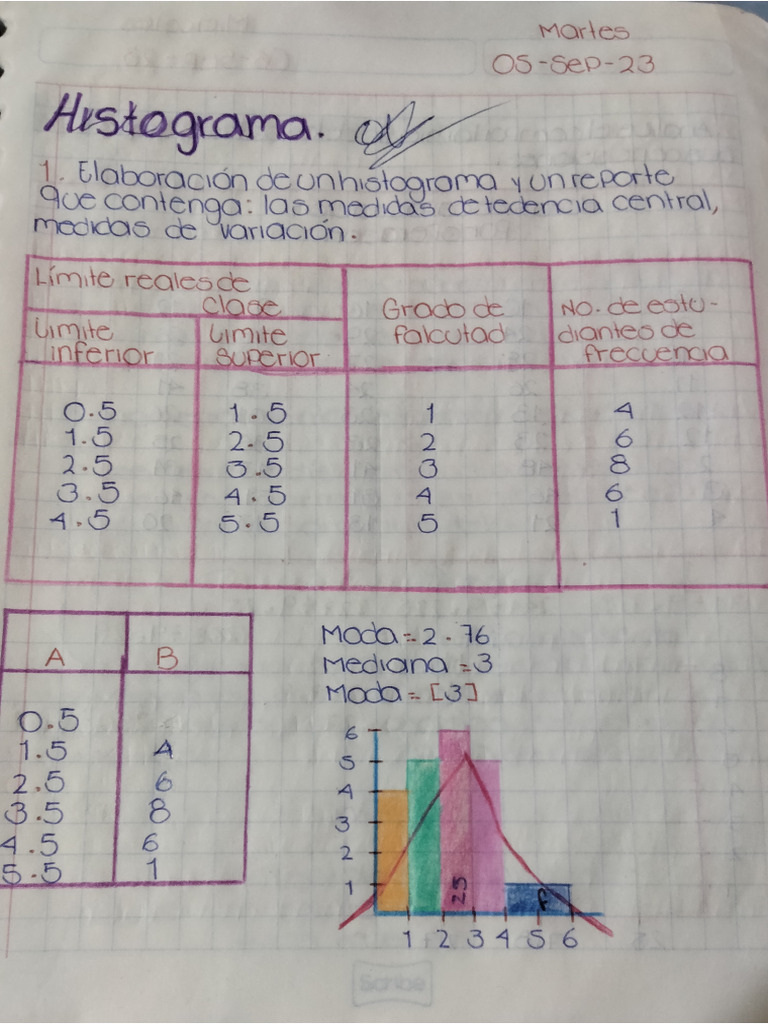 Histograma Cecilia Yamileth Espinoza Ugalde QI01MS-23 | PDF