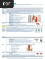 VNEST - Verb Network Strengthening Treatment A Step by Step Guide | PDF