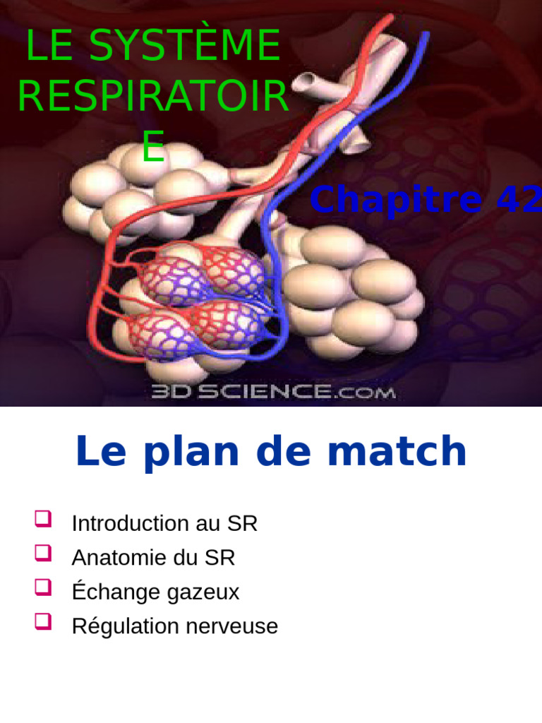 Anatomie et Fonction du Système Respiratoire | PDF | Système ...