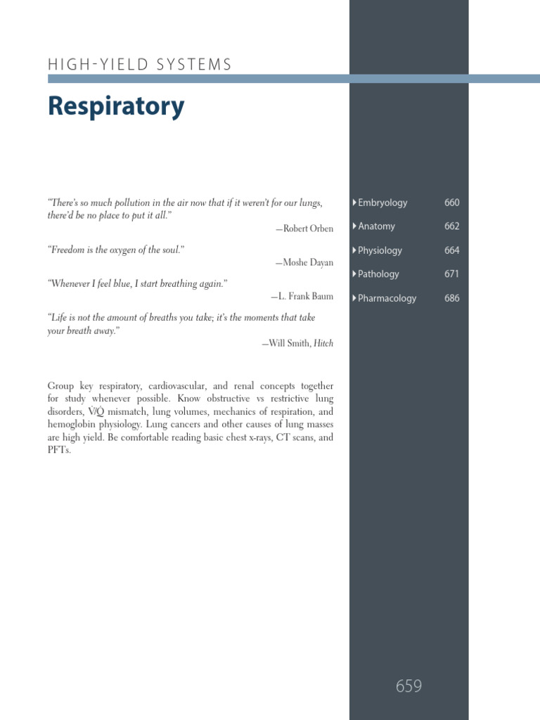 Respiratory | PDF | Lung | Respiratory System
