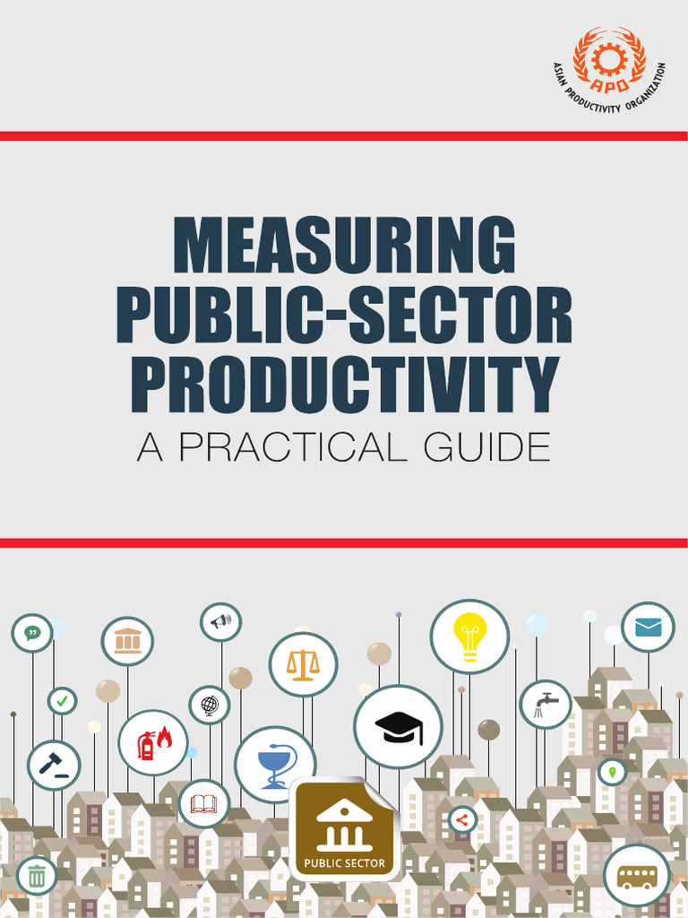 Measuring Public Sector Productivity | PDF | Labour Economics | Employment