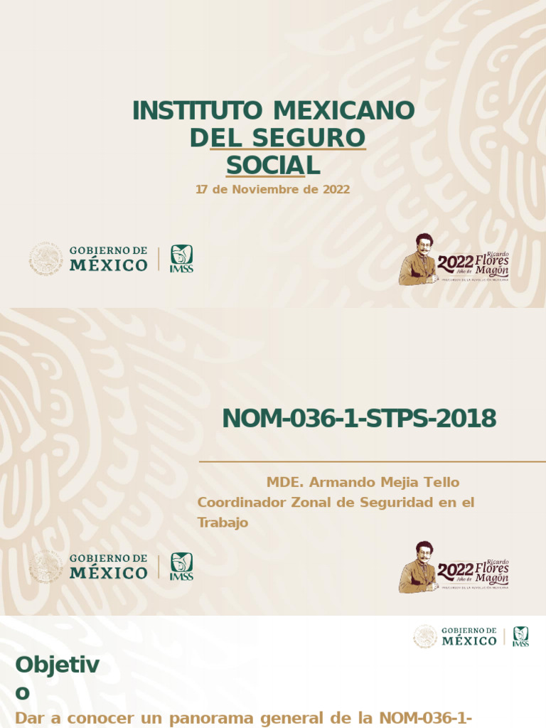 Puebla Nom-036-1-Stps-2018 | PDF | Factores humanos y ergonomía