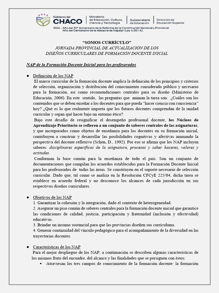 Jornada NAP - Material-1 | PDF | Maestros | Plan de estudios